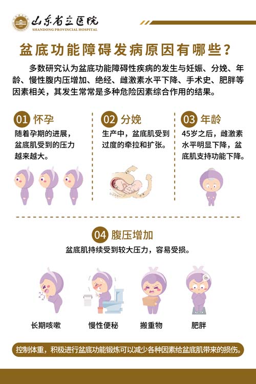 【健康科普】女性产后常见病——盆底功能障碍性疾病 产科 山东省立医院